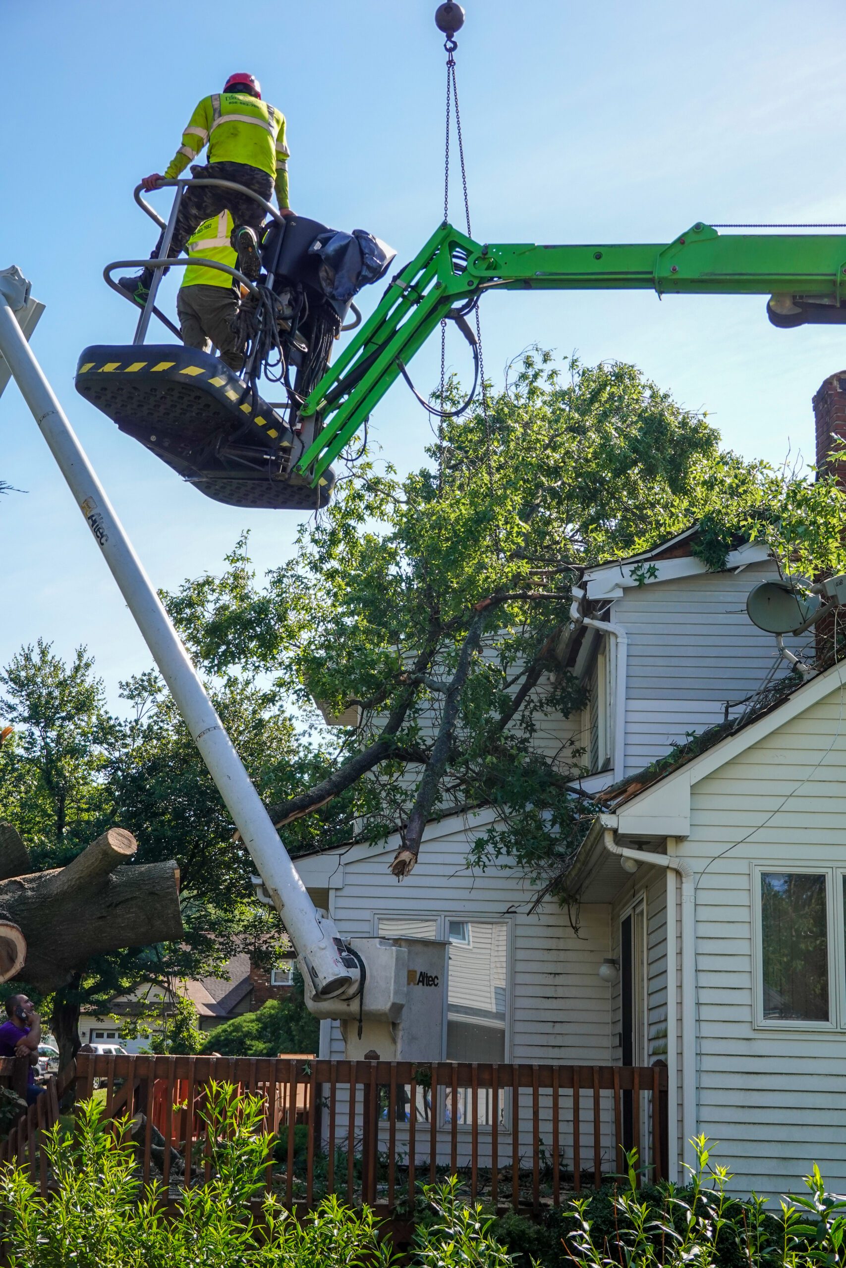 Tree Pruning Services in Luverne, AL